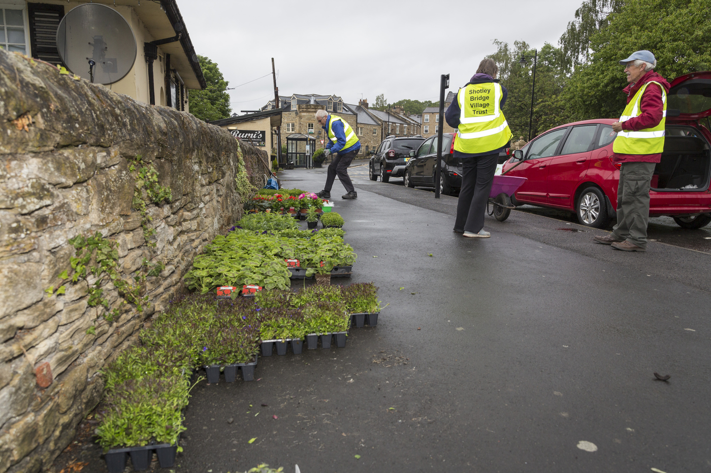 Planting after the rain | Shotley Bridge Village Trust