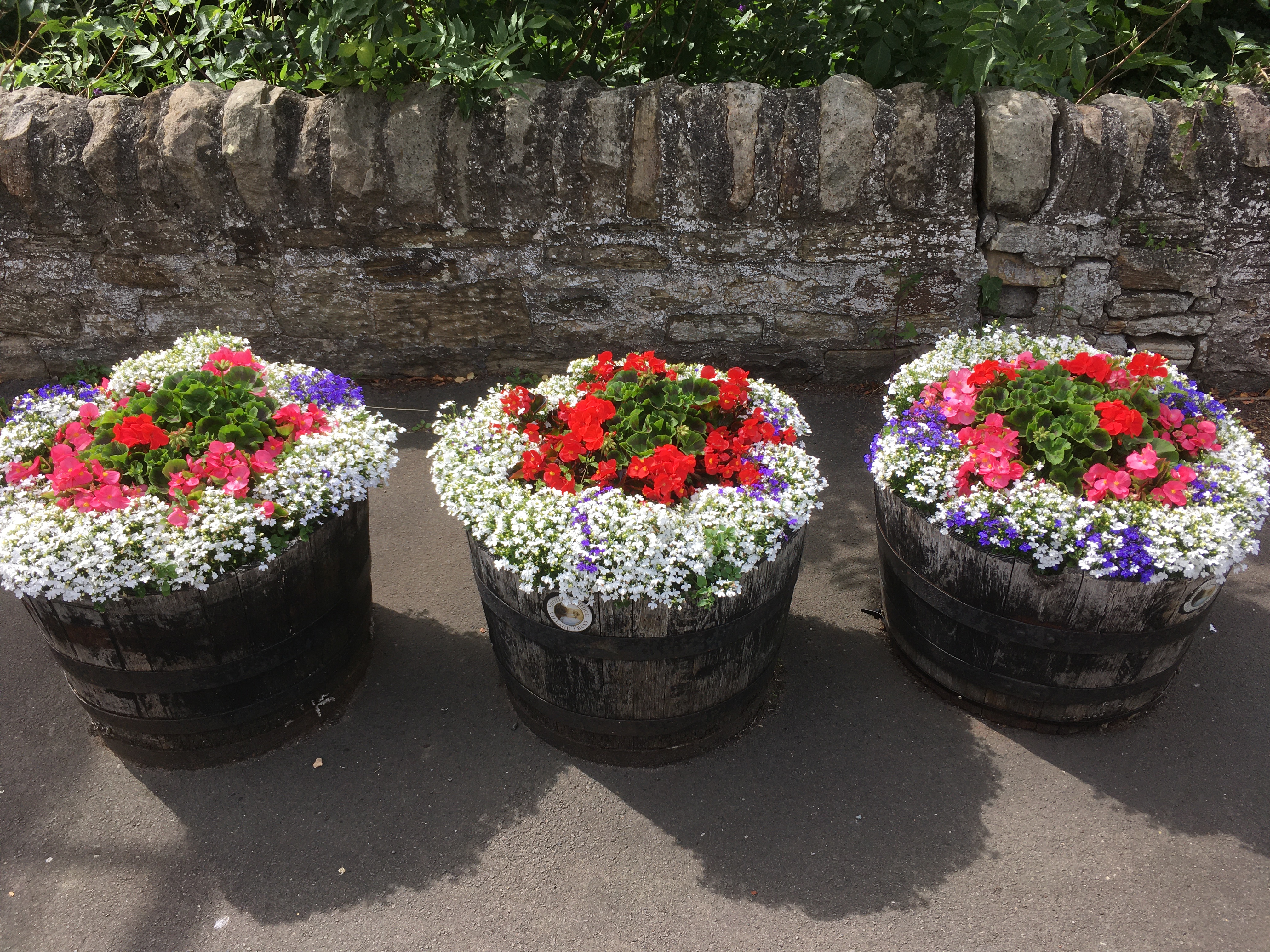 Flowers and Seats | Shotley Bridge Village Trust