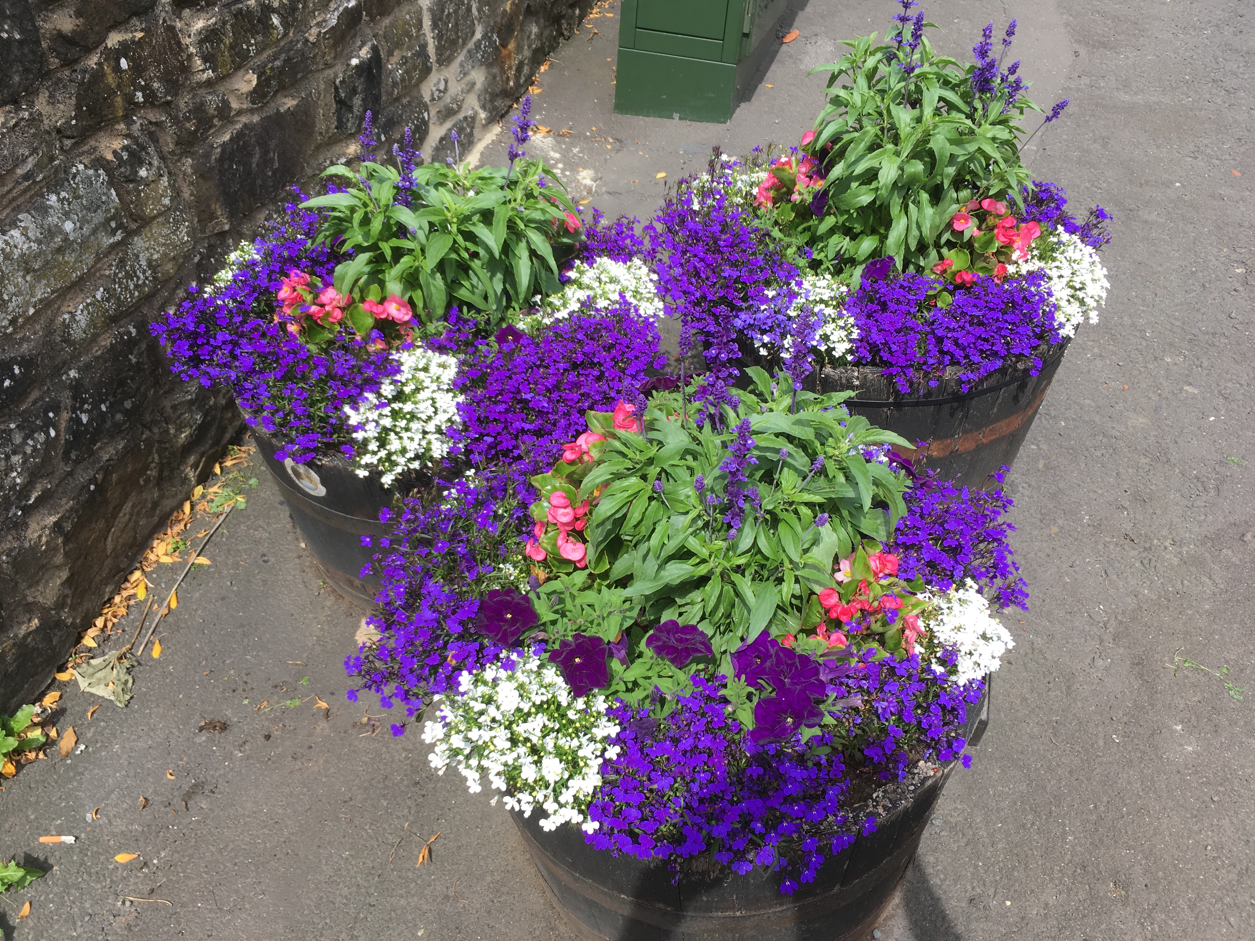 Flowers and Seats | Shotley Bridge Village Trust